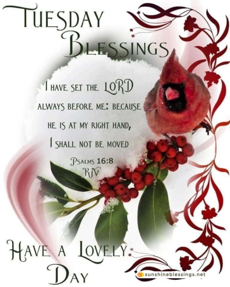 100+ Tuesday Blessings Images To Inspire Your Day