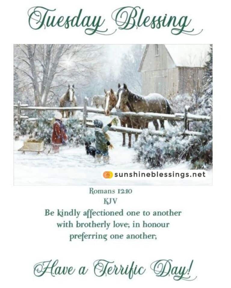 100+ Tuesday Blessings Images To Inspire Your Day