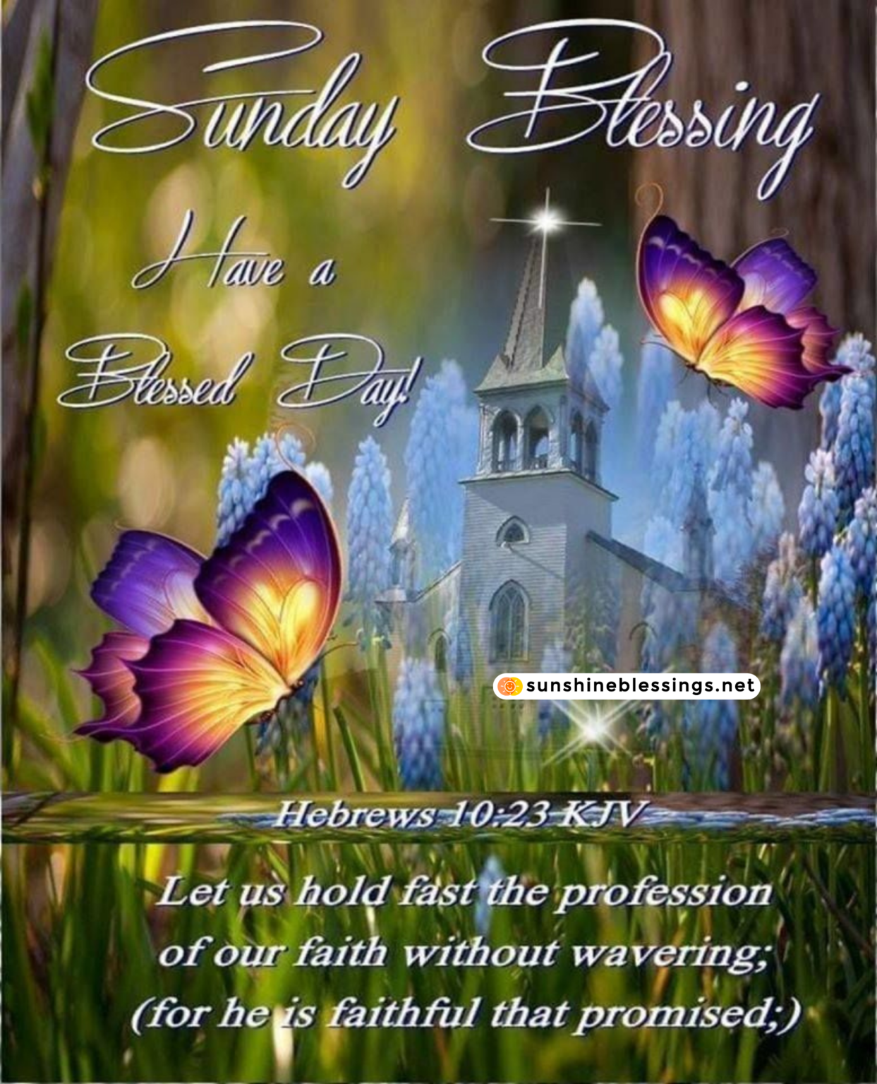 100+ Sunday Blessings Images To Bless Your Sunday