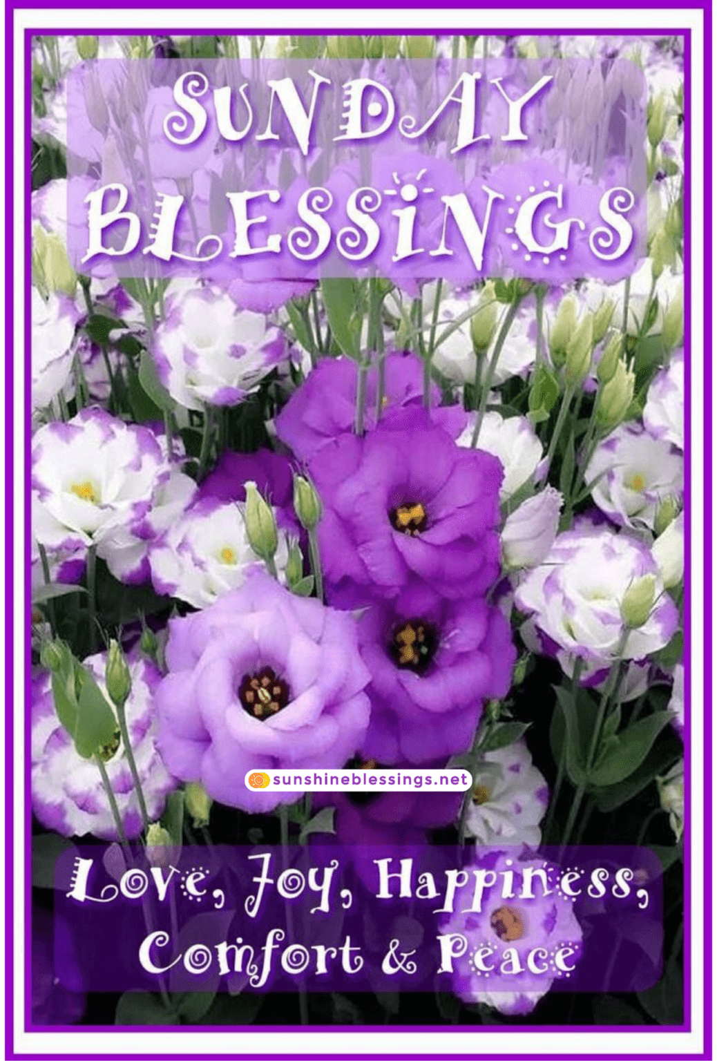 100+ Sunday Blessings Images To Bless Your Sunday